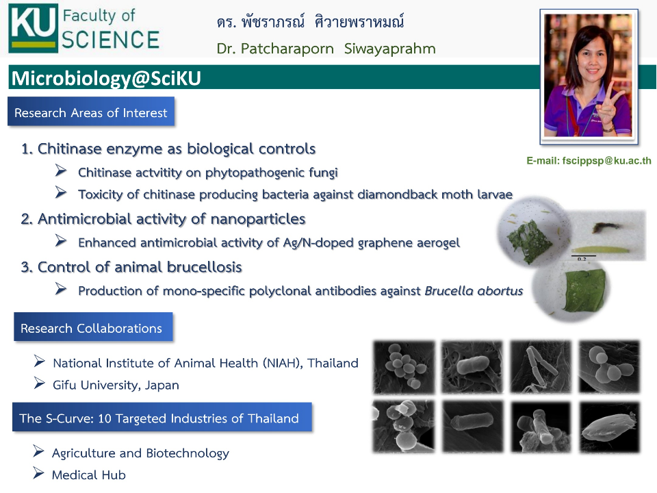 Asst. Prof. Dr. Patcharaporn Siwayaprahm - ภาควิชาจุลชีววิทยา คณะวิทยาศาสตร์ มหาวิทยาลัยเกษตรศาสตร์